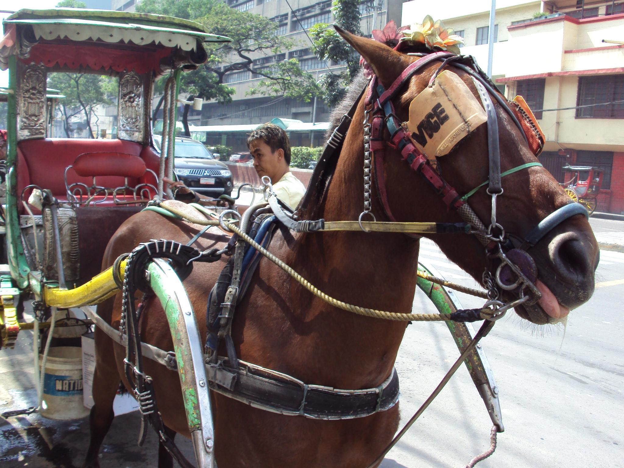 Exploring Asia: A Filipina perspective | Institute for Transportation